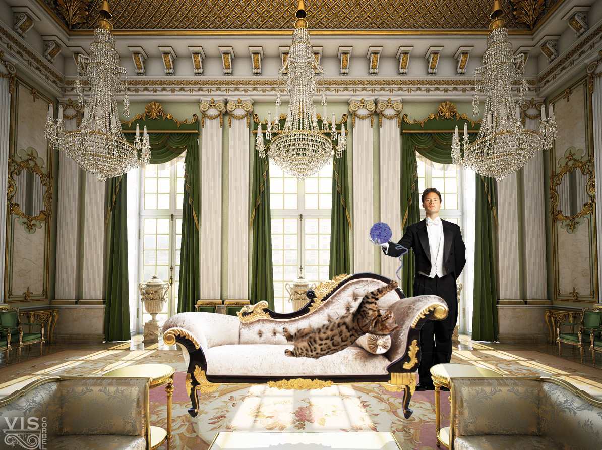 Area Cat First Ever to Catch the Red Dot – The MQ