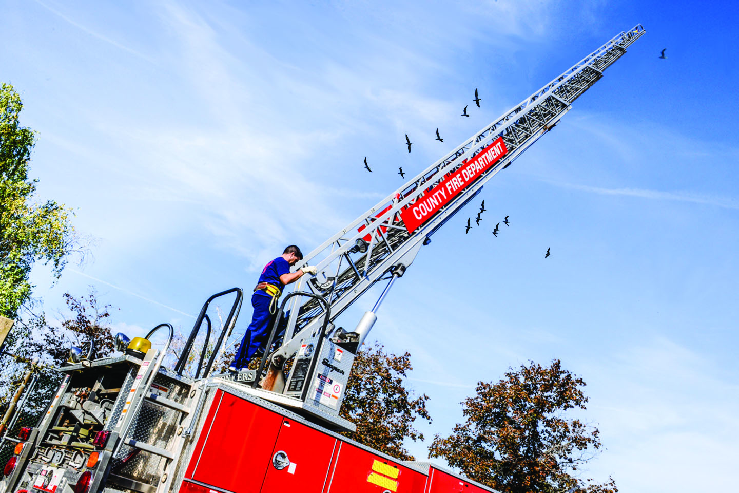 Firefighter Rescues Bird Stuck in Sky – The MQ