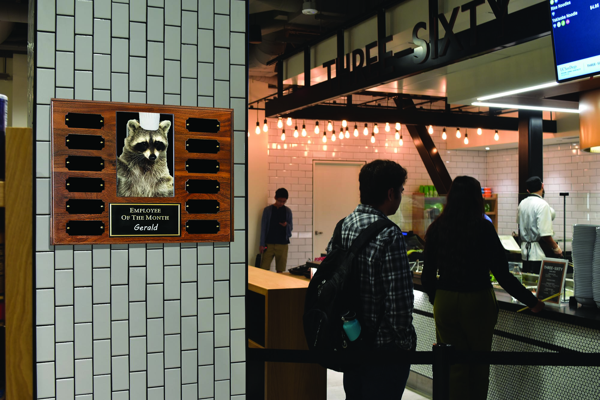 Warren Dining Hall Reopening Delayed by Raccoon Takeover – The MQ