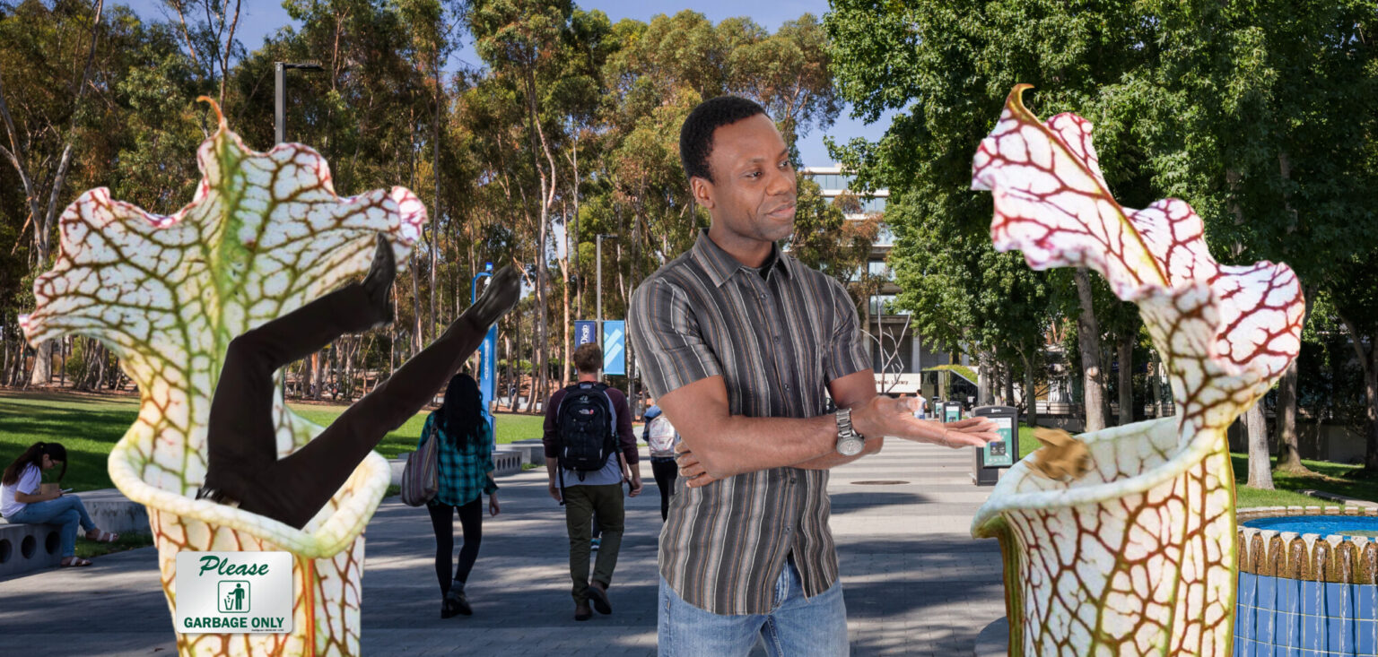 Raccoons to Exterminate Pitcher Plants that Exterminate Raccoons – The MQ